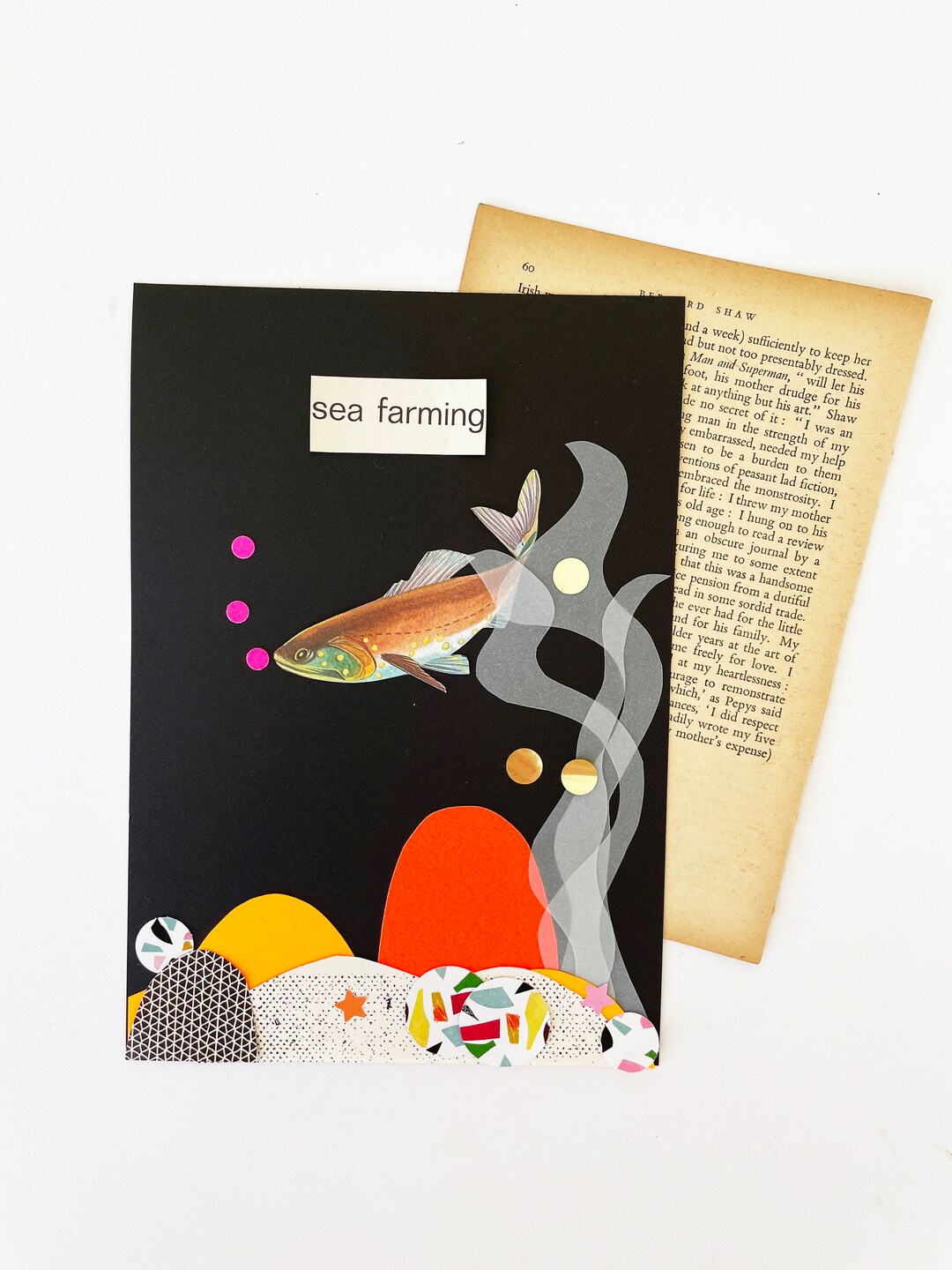 Aquatic Collage Kit, Make Your Own Art Pack - Etsy