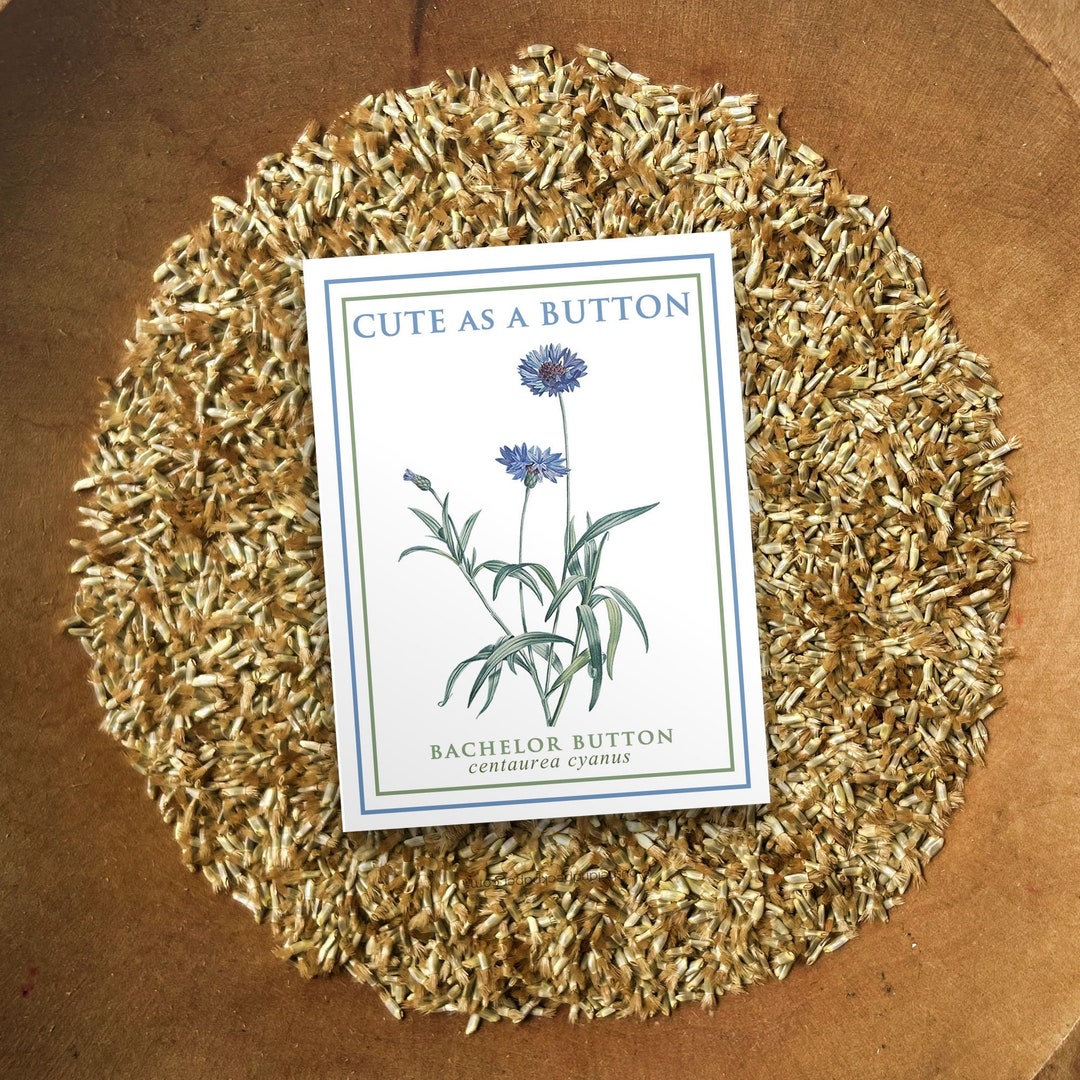 Custom Bachelor Button Seed Packets – Baby Shower Favors (set of 20 - 2 ...