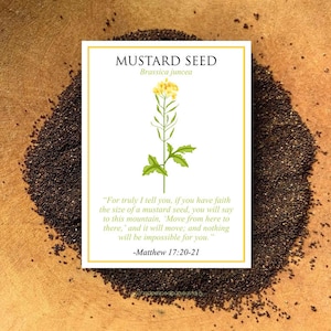 Personalized Mustard Seed Favor Packets: Baby Shower, Baptism (set of ...