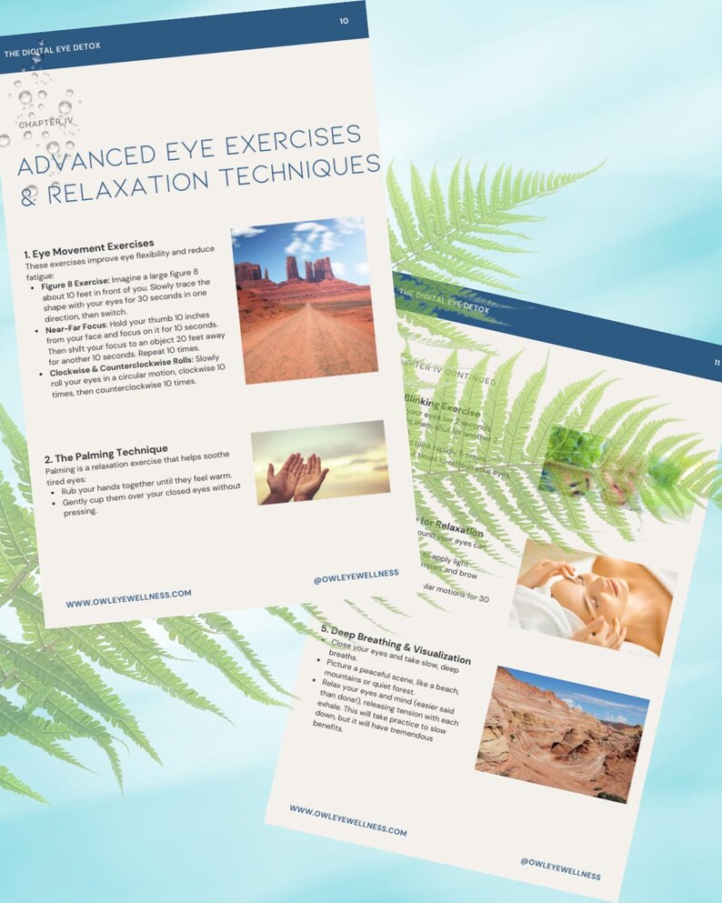 The Digital Eye Detox: Simple Steps for Healthy Vision - Etsy
