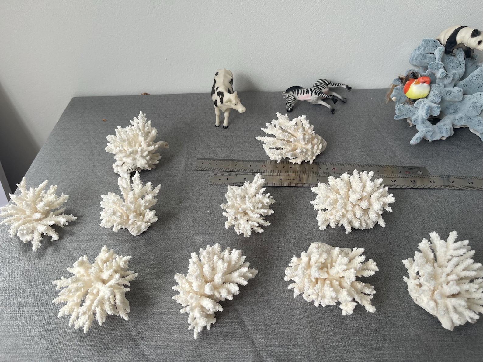 Natural White Coral Decor: Real Ocean Coral for Coastal Home & Aquarium ...