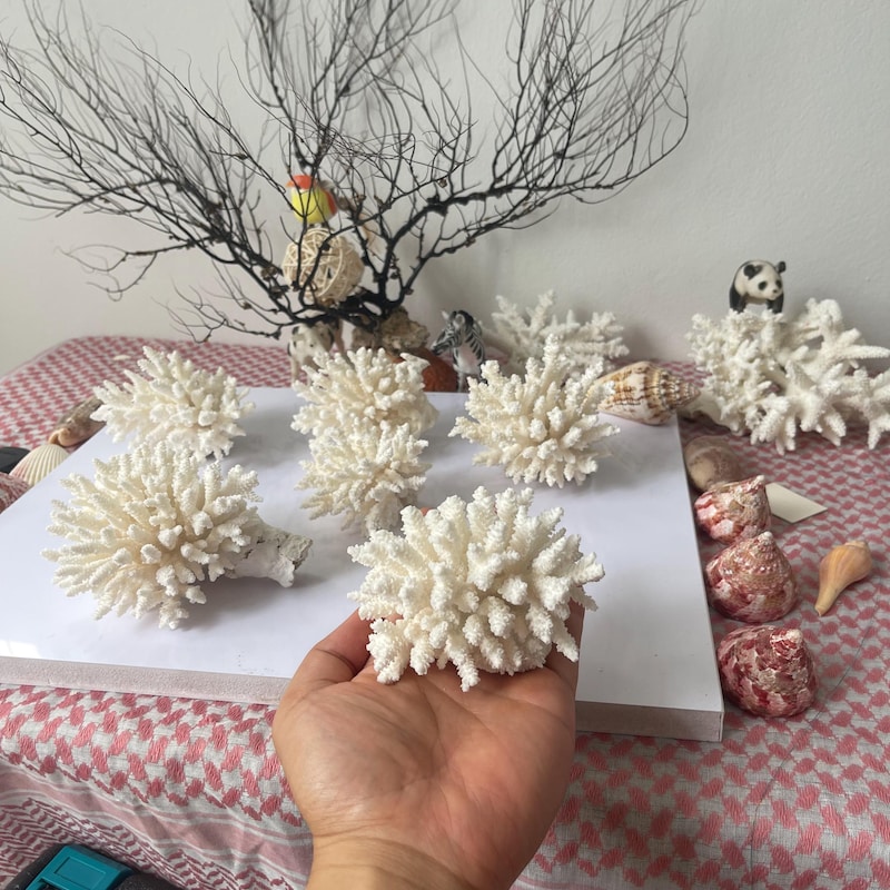 Coral Colored Decor - Etsy UK