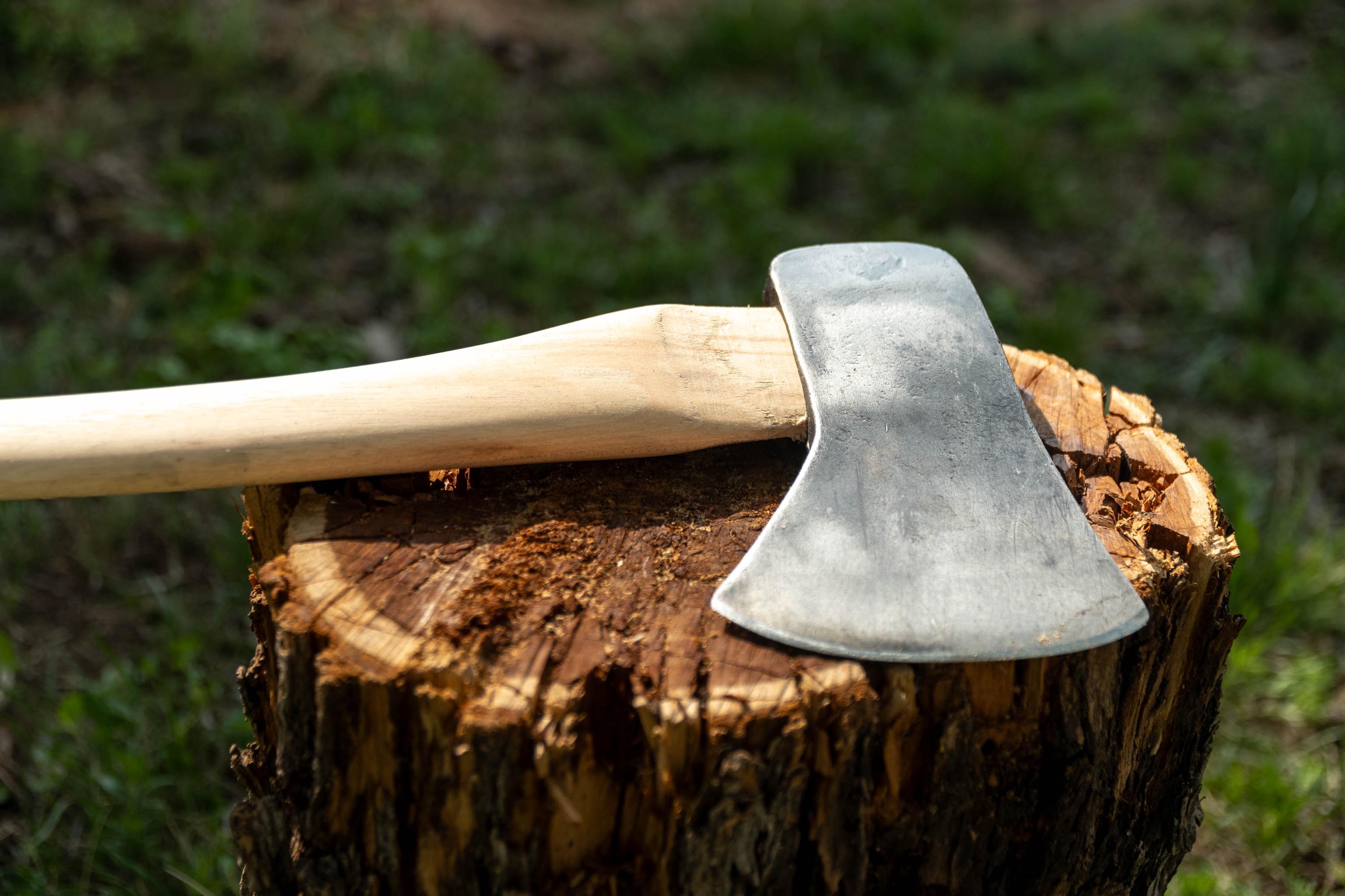 Restored Vintage Collins 3.5 Lb Hudson Valley Axe | Hand-sharpened ...