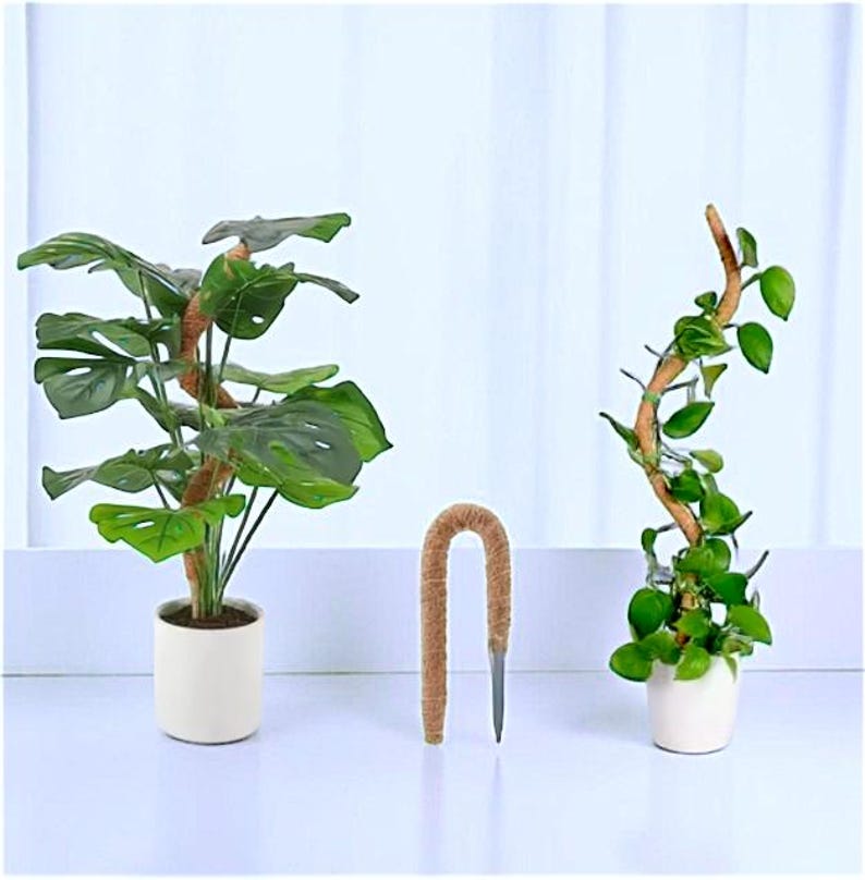50cm Natural Bendable Coco Coir Pole – Flexible Coconut Fiber Plant ...