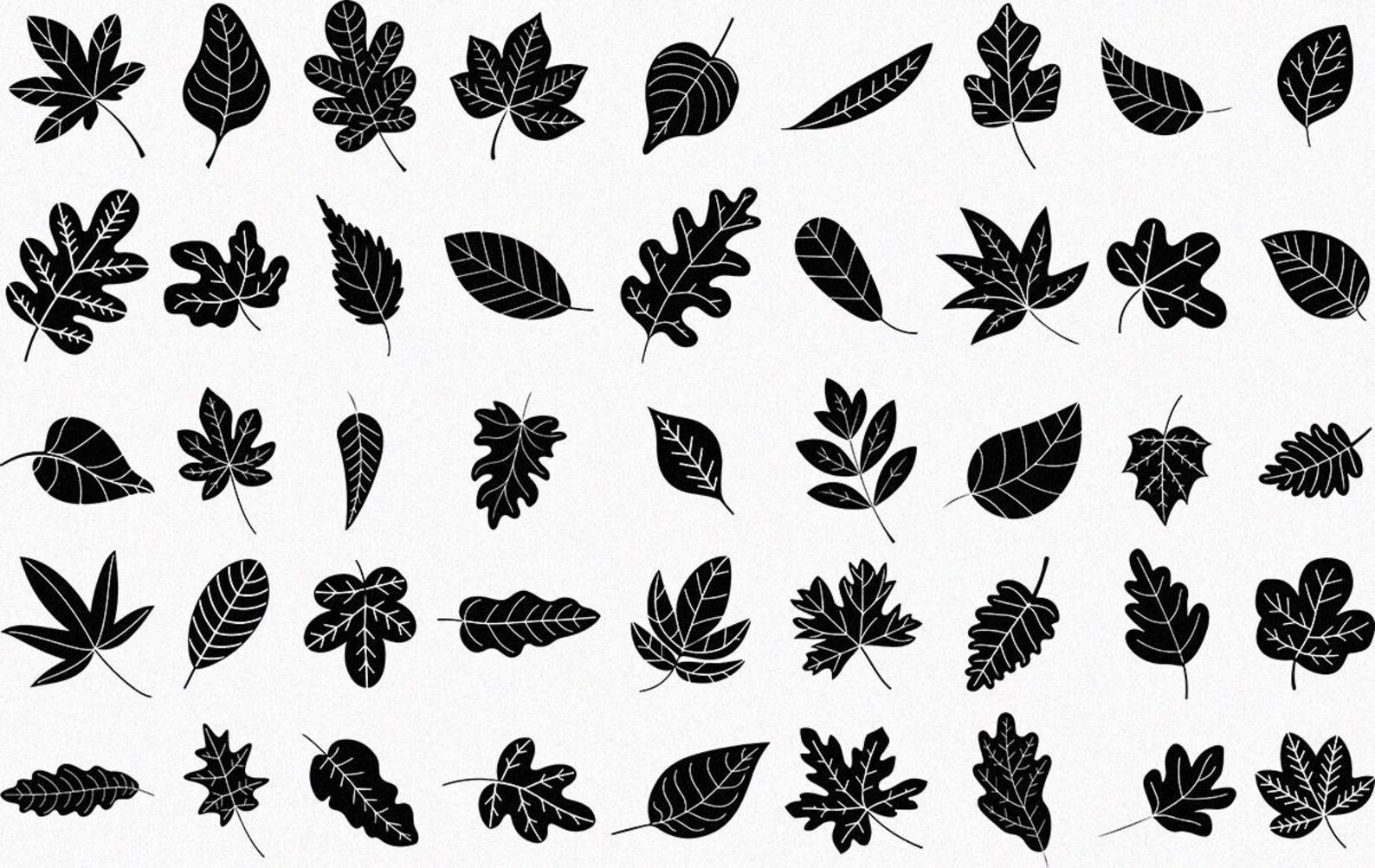 Autumn Leaf Silhouette Clipart Bundle | 73 Fall Leaves PNG | Instant ...