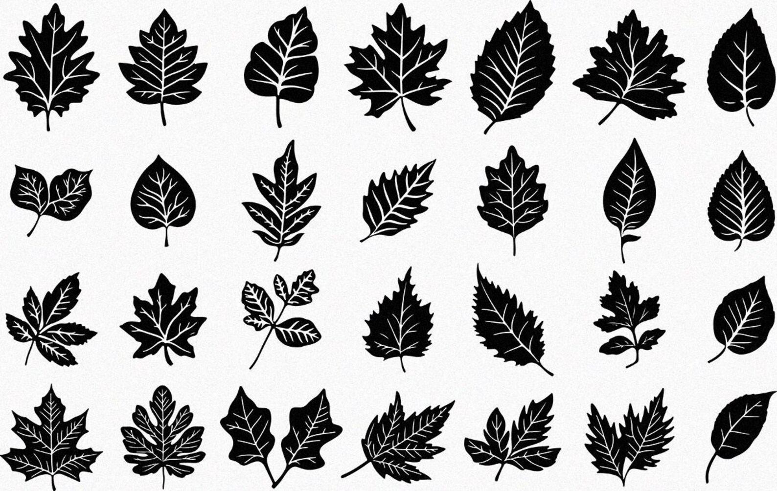 Autumn Leaf Silhouette Clipart Bundle | 73 Fall Leaves PNG | Instant ...