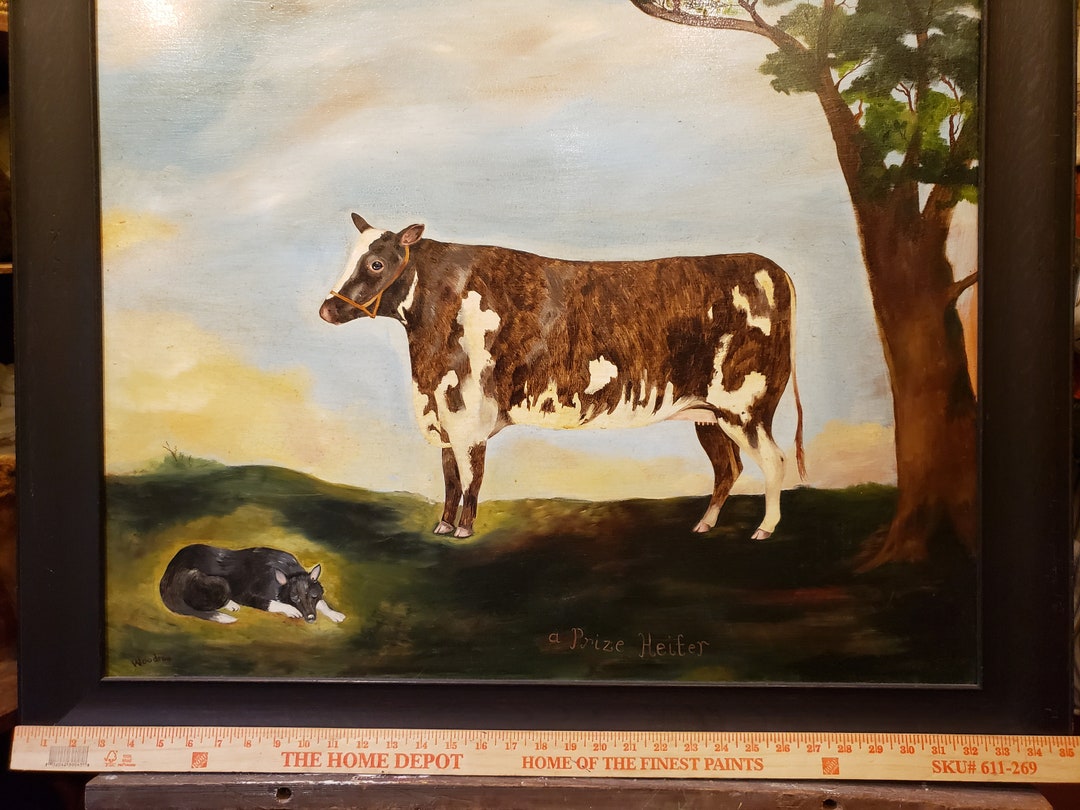 A Prize Heifer - Etsy