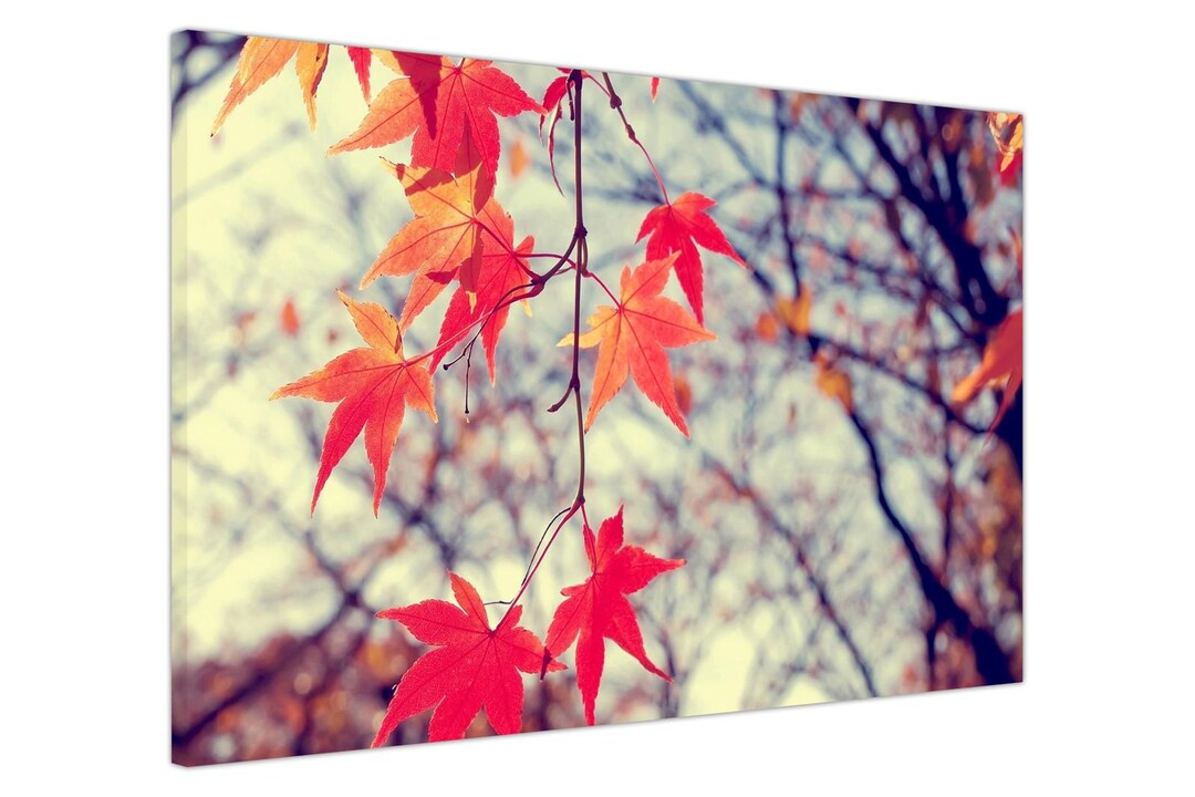 Crimson Fall Foliage Canvas Wall Art Picture & Poster for Living Room ...
