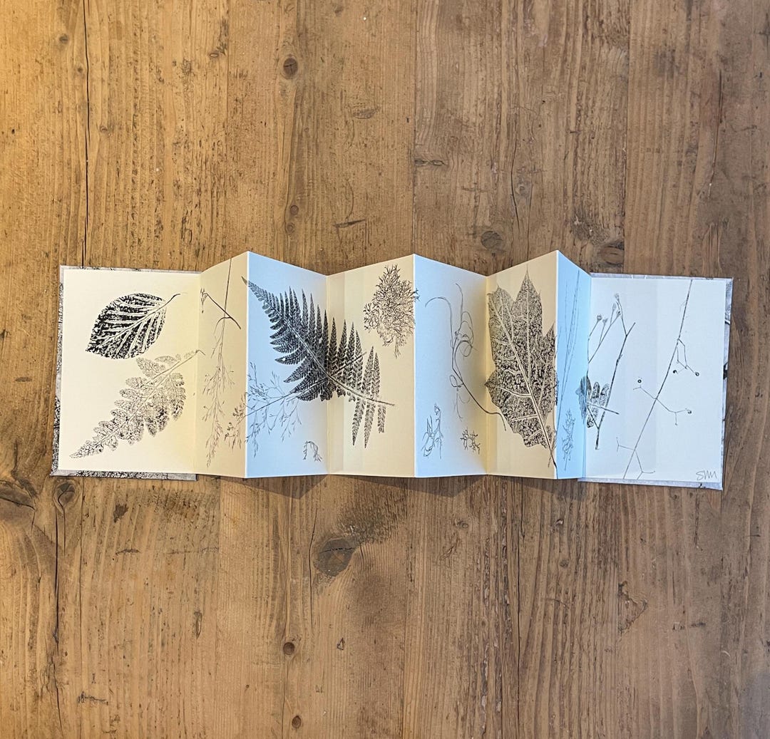 Walk in Nature With This Original Plant Print Folded Concertina Artist ...