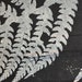 Original Fern Leaf Print. Small Hand Printed Botanical Monotype Print ...