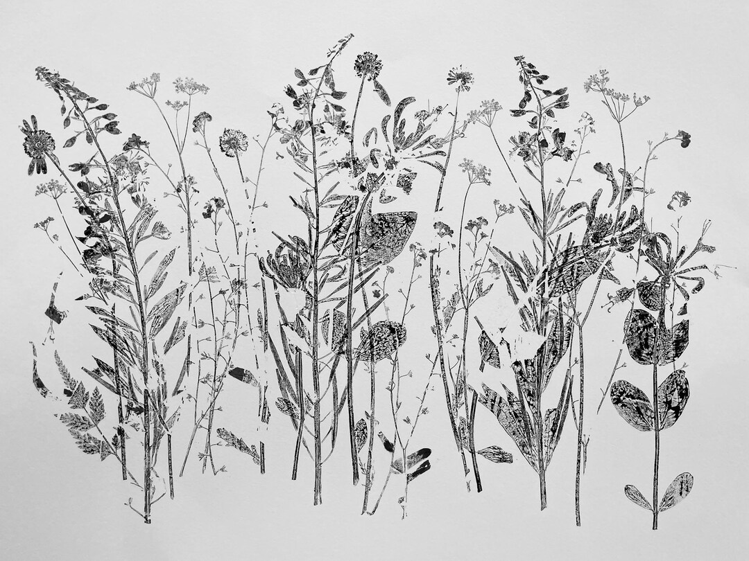Large Botanical Print. Original Nature Monotype Print. Summer Cottage ...