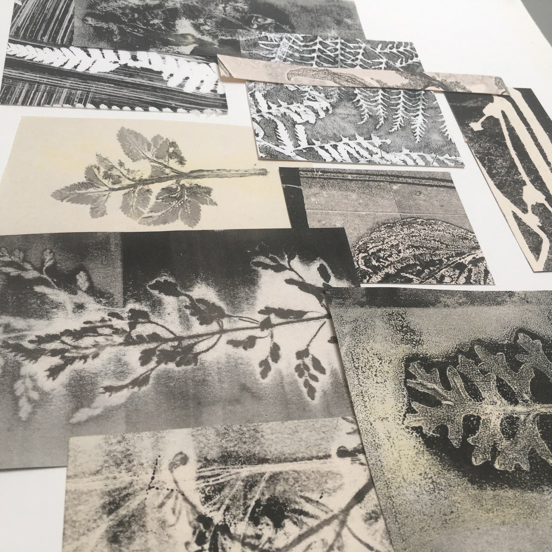 Mixed Bag of 10 Monochrome HANDMADE Original Nature Monotype Print ...