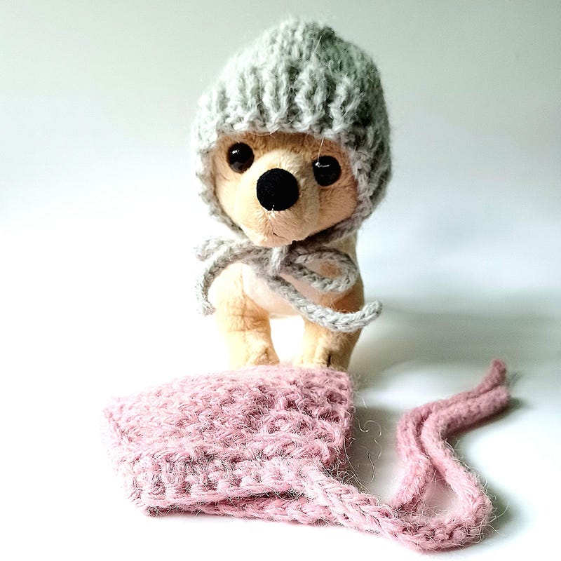 Dog Bonnet - Etsy