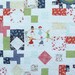 Instant Download: Pocket Full of Posies PDF Quilt Pattern Applique ...