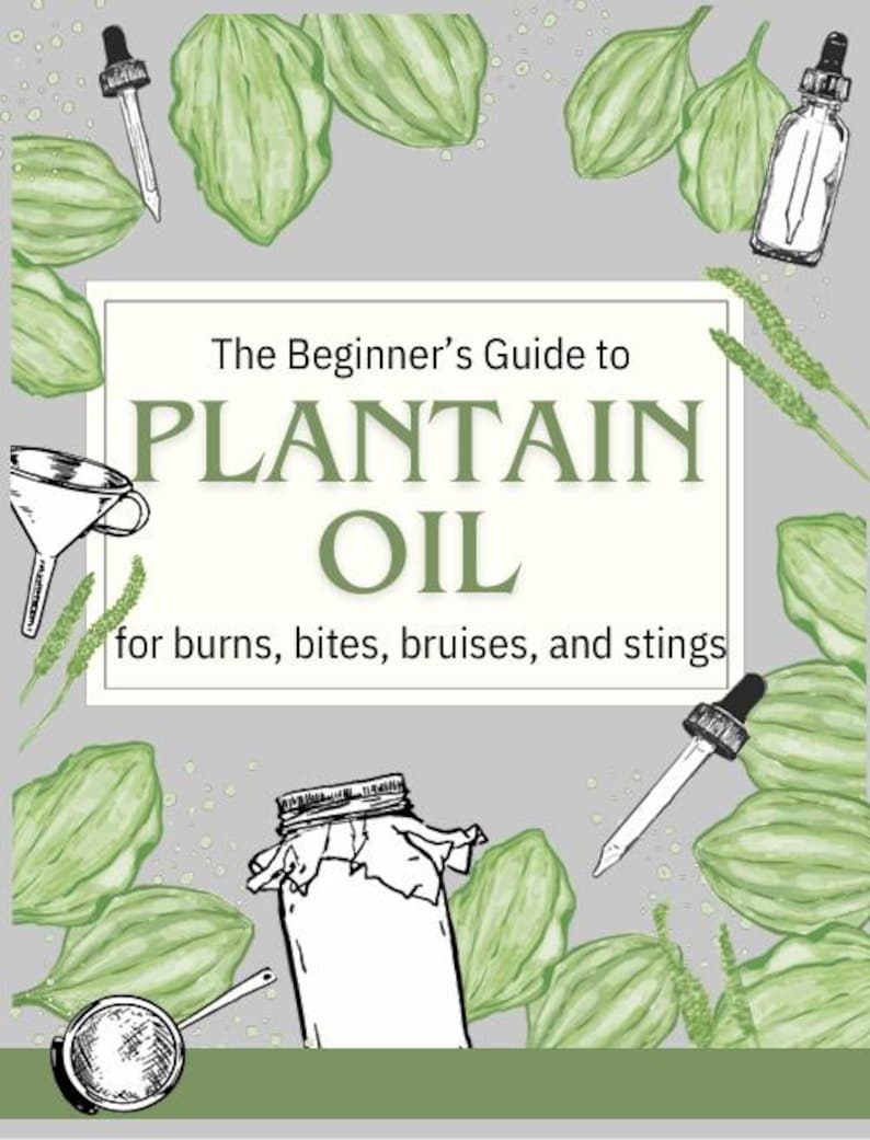 Plantain Oil DIY Guide | Herbal First Aid, DIY Skin Care (digital PDF ...