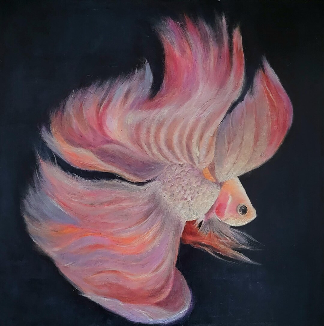 Pink Princess Original Oil Painting of Beta Fish Still Life Nature ...