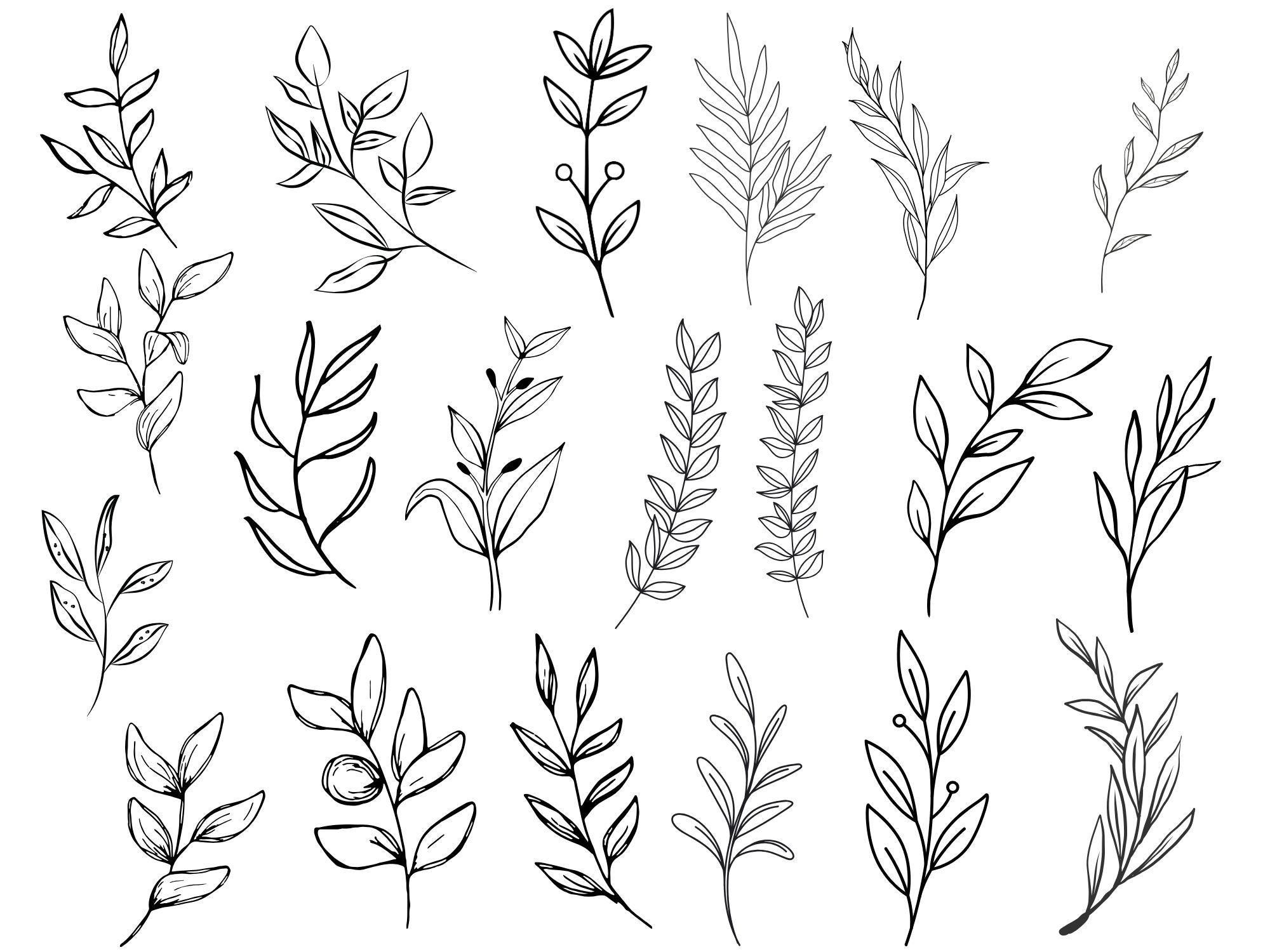 Botanical Leaves and Twigs SVG Bundle, Botanical Clipart, Tree Branch ...