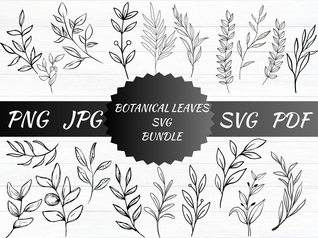 Botanical Leaves and Twigs SVG Bundle, Botanical Clipart, Tree Branch ...