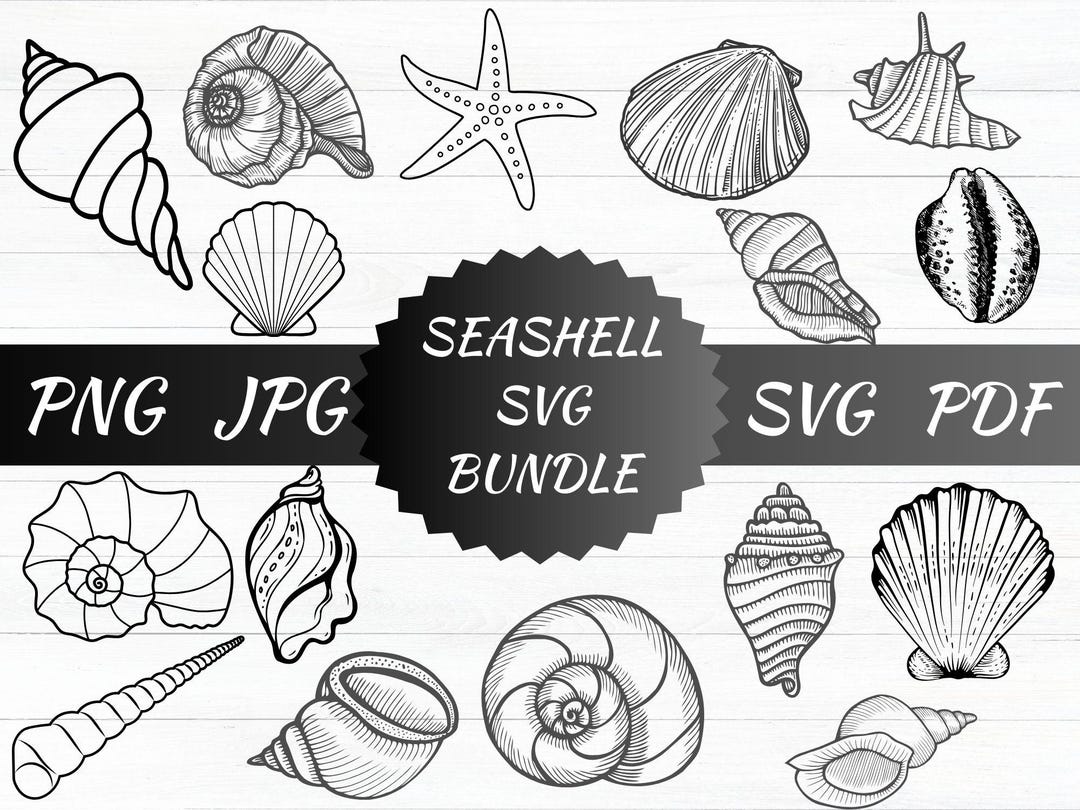 Seashell SVG, Seashell Cricut, Seashell Cut Files, Seashell Silhouette ...