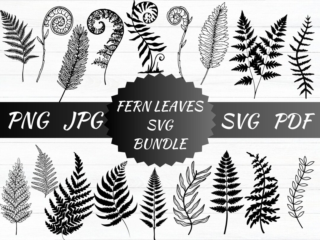 Fern Leaves Svg, Fern Cricut, Fern Svg Bundle, Fern Leaf SVG, Fern ...