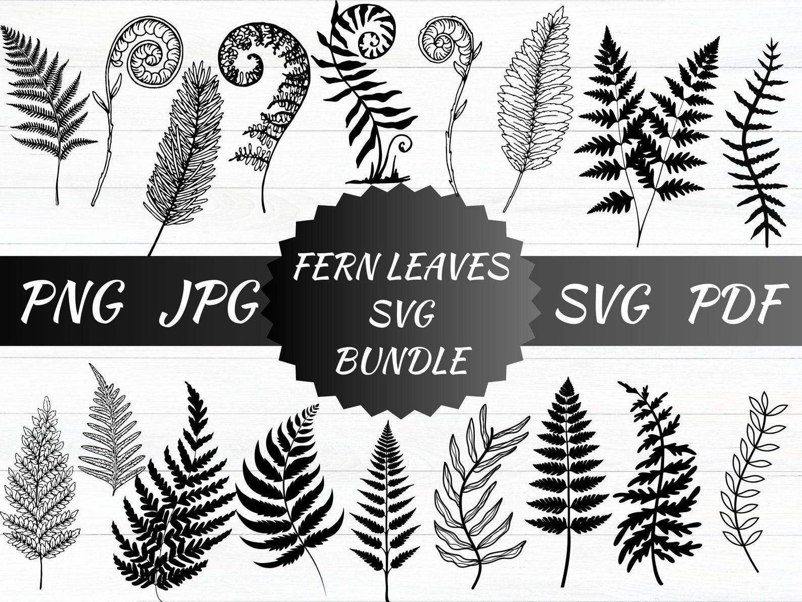 Fern Leaves Svg, Fern Cricut, Fern Svg Bundle, Fern Leaf SVG, Fern ...