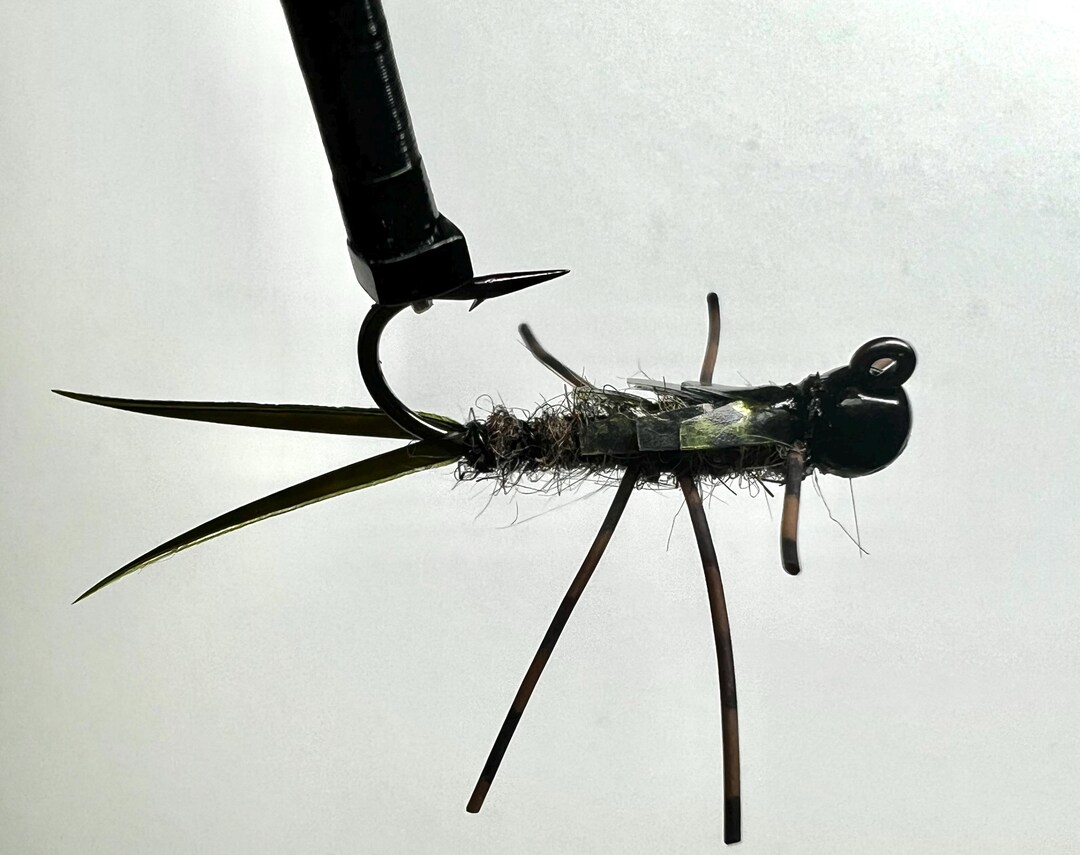 Jig Stonefly Nymphs - Etsy