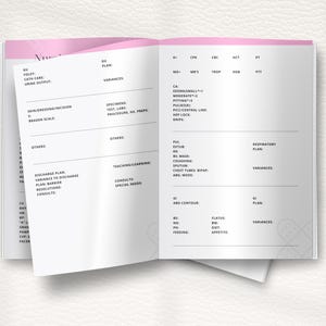 Nursing Worksheet Template: Clinical Notes, Patient Care Report ...