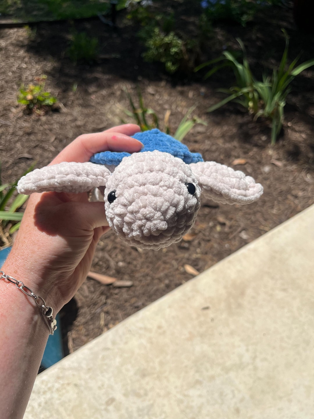 Blue Shelled Turtle - Etsy