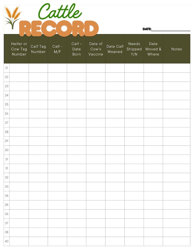 Cattle Record - Etsy