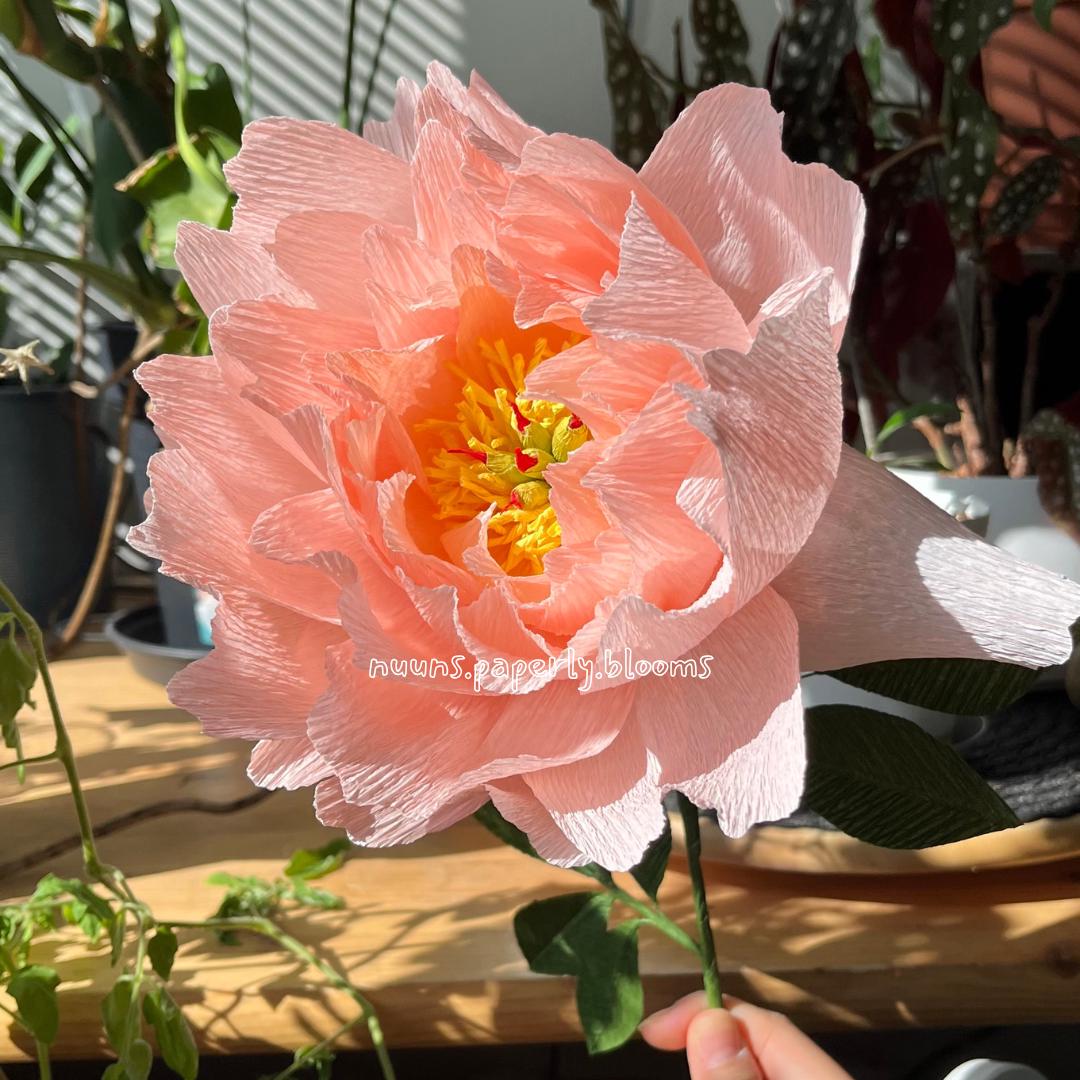 Peony Crepe Paper Flower - Etsy