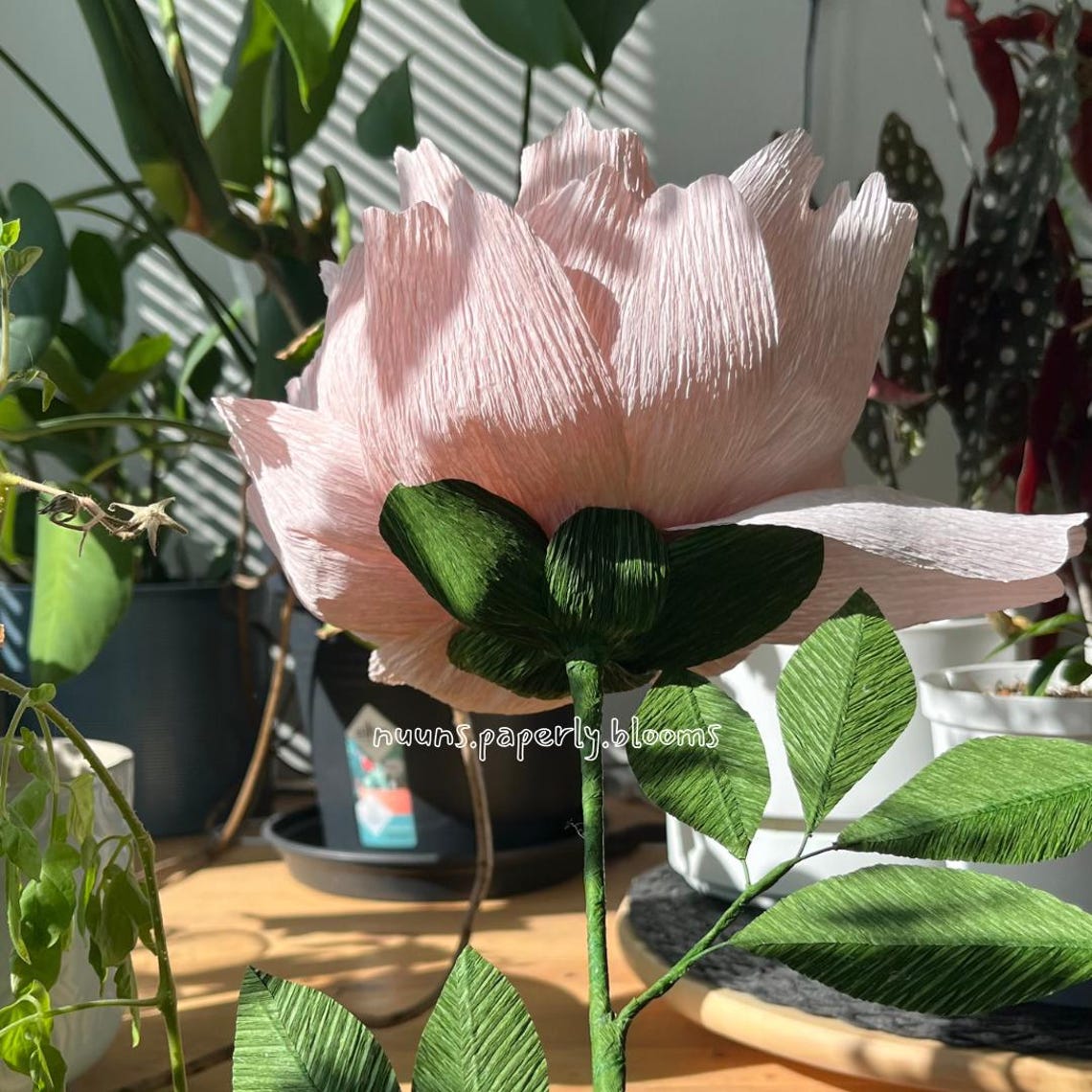 Peony Crepe Paper Flower - Etsy