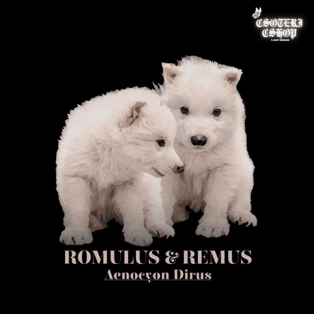 Dire Wolf Remos and Romulus Digital File Digital Print Digital File ...