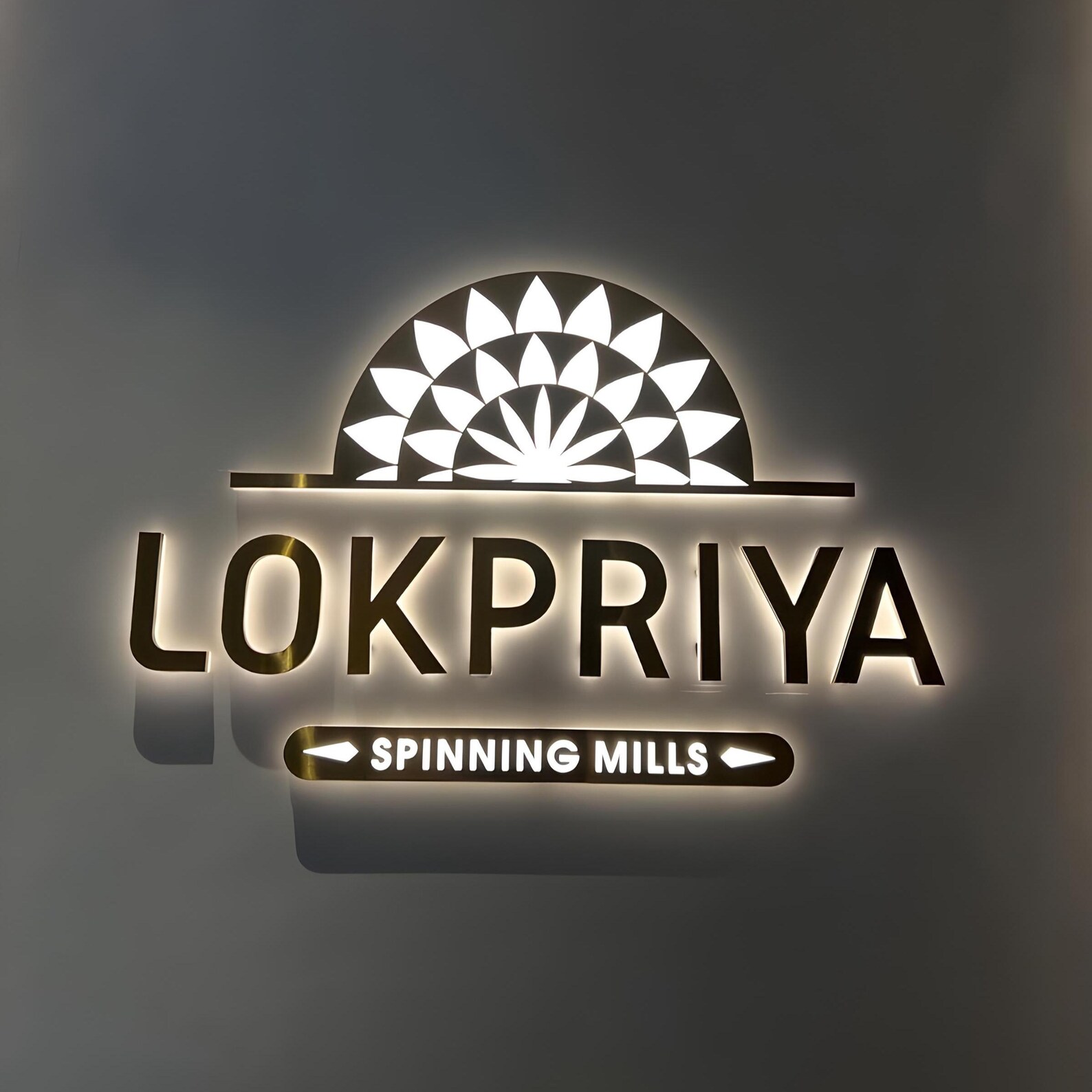 Storefront Sign, Halo Lit Sign, Illuminated Letters, 3D Metal Backlit ...