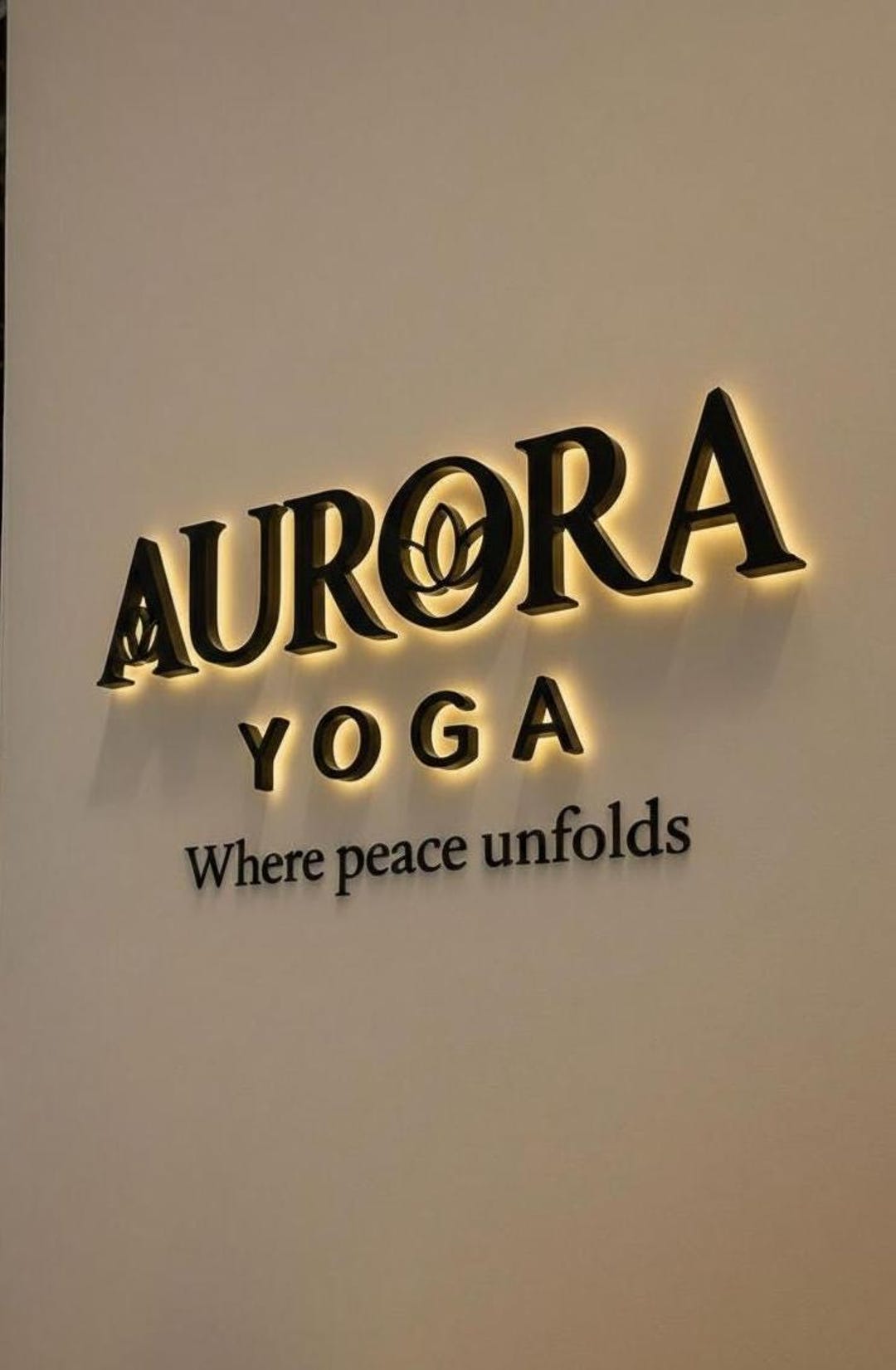 Custom Backlit Metal Logo Sign, 3D LED Backlit Business Sign, Halo Lit ...
