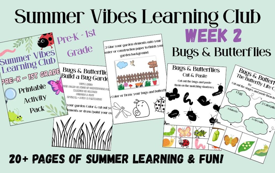 Summer Learning Pack - Bugs & Butterflies - Etsy