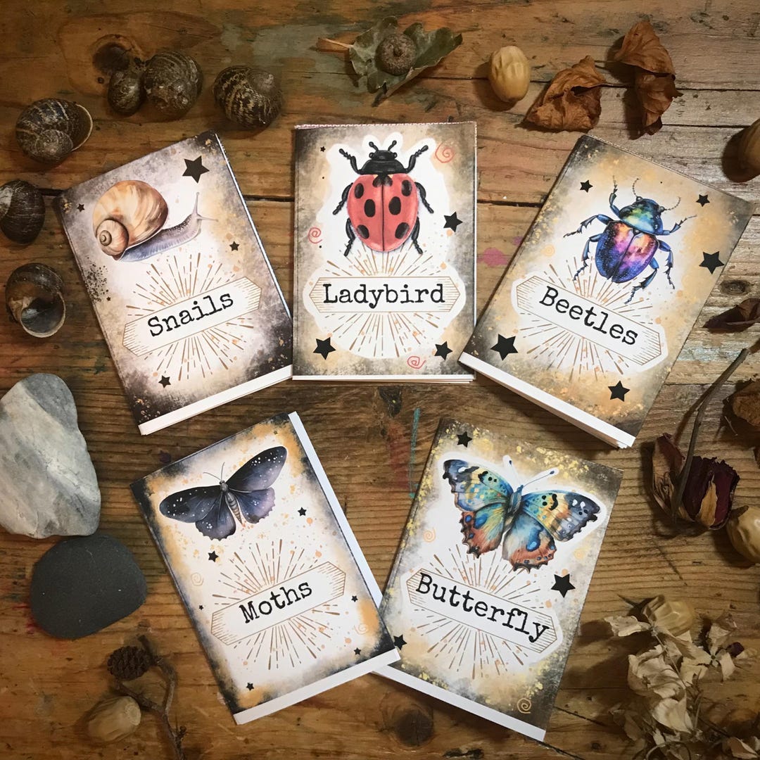 Little Insect Zines - Etsy