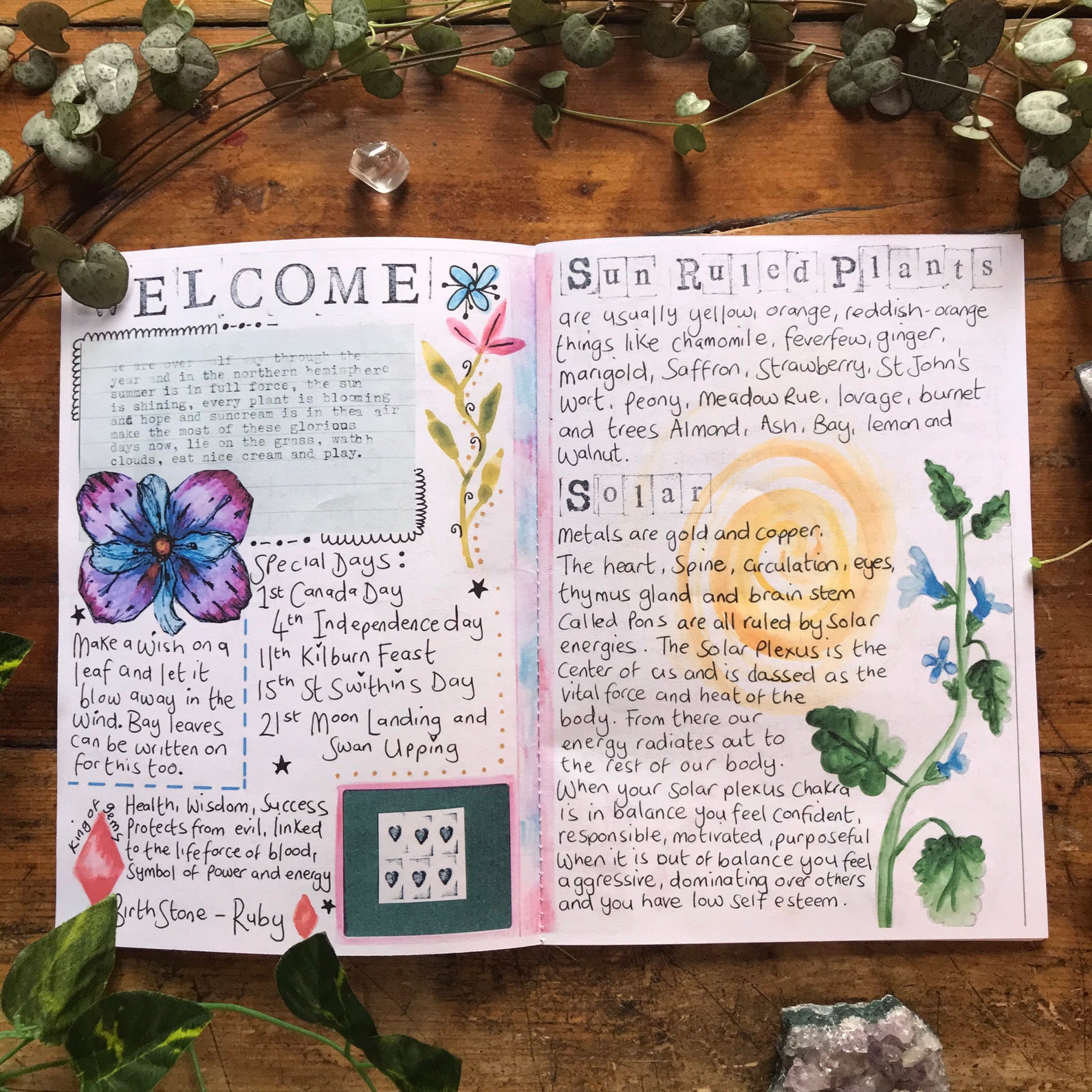 A Whole Year of Zines, Seasonal Nature Magazines Delivered to Your Door ...