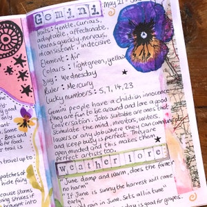 A Whole Year of Zines, Seasonal Nature Magazines Delivered to Your Door ...