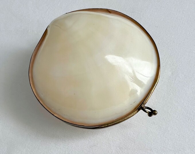 Vintage Brass & Clamshell Coin Purse Seashell Coin Purse Natural Sea ...