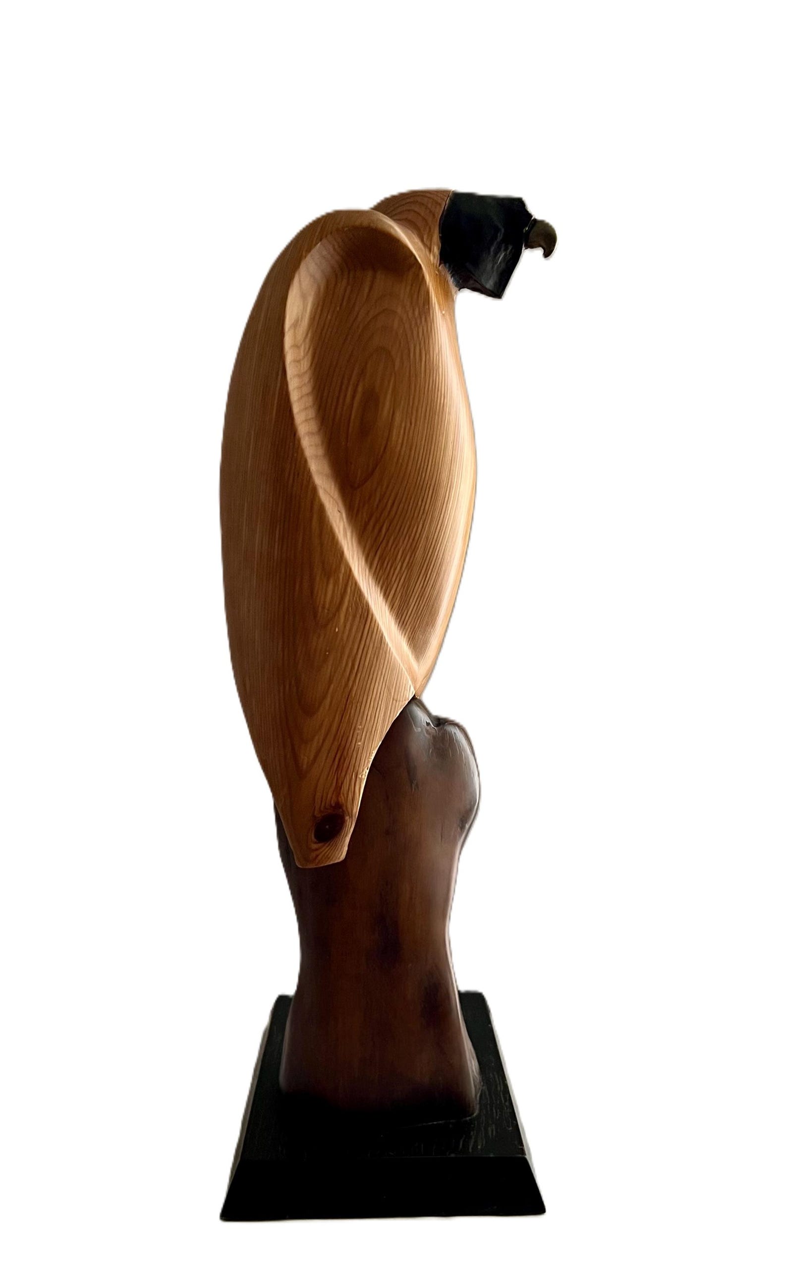 Vintage Hooded Falcon on Fist Sculpture: Sarreid, Ltd Made in Spain - Etsy