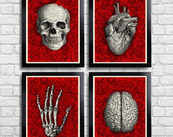Anatomical Poster Set Anatomy Print Set of 6 Medical Wall Art | Etsy