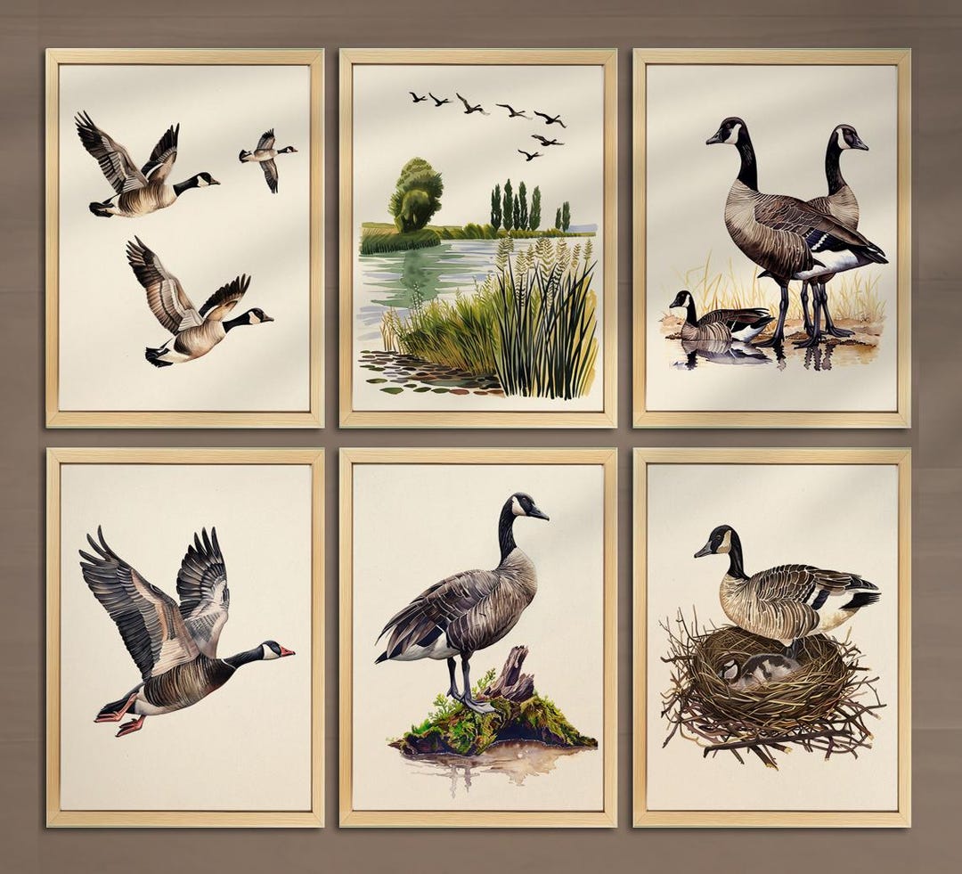 Wild Geese Prints Set of 6 Prints Lake House Decor Cabin Wall Decor ...