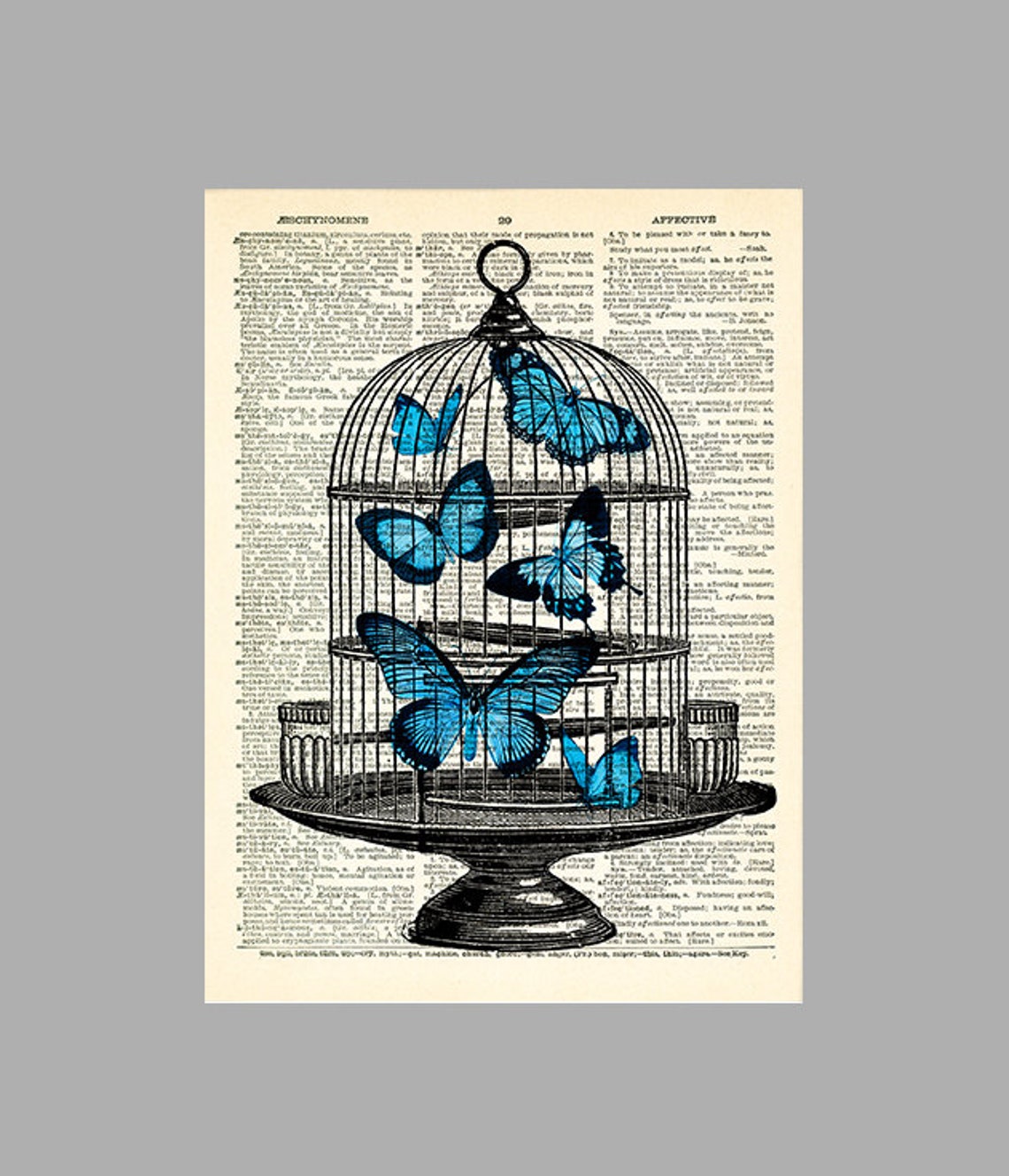 Blue Butterfly Butterflies Bird Cage Print Butterfly Poster | Etsy
