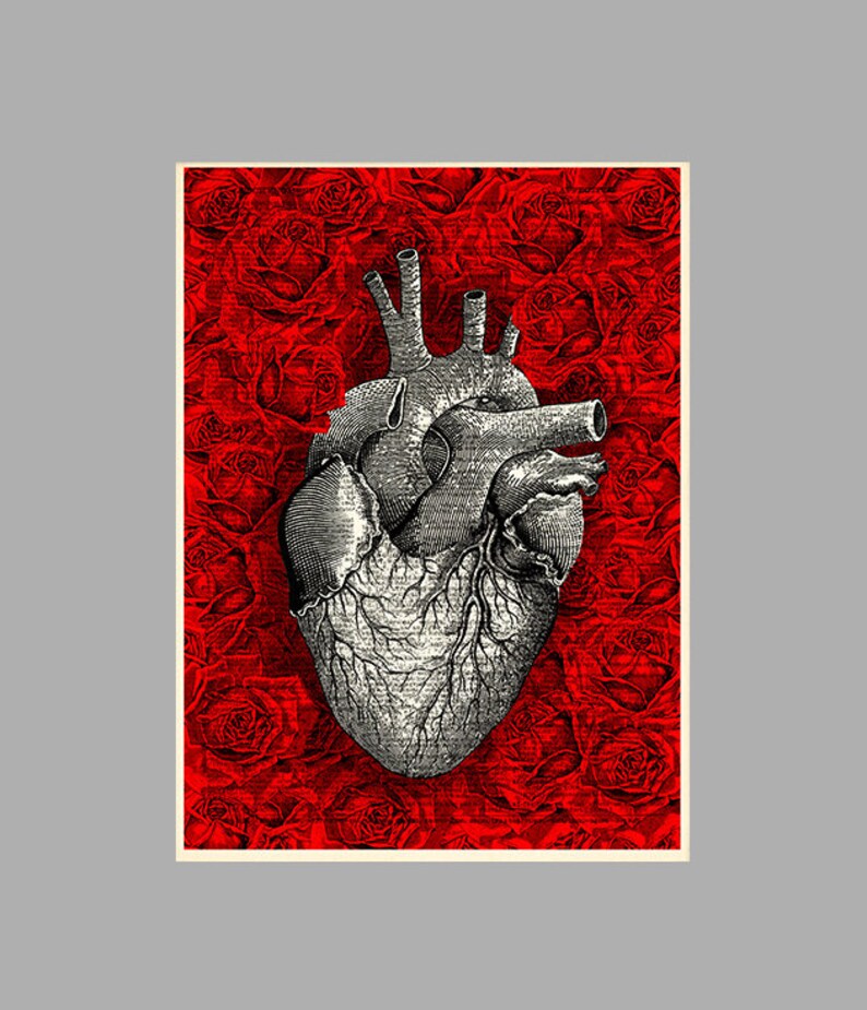 Heart Human Anatomy Art Print Rose Roses Flowers Human Heart - Etsy