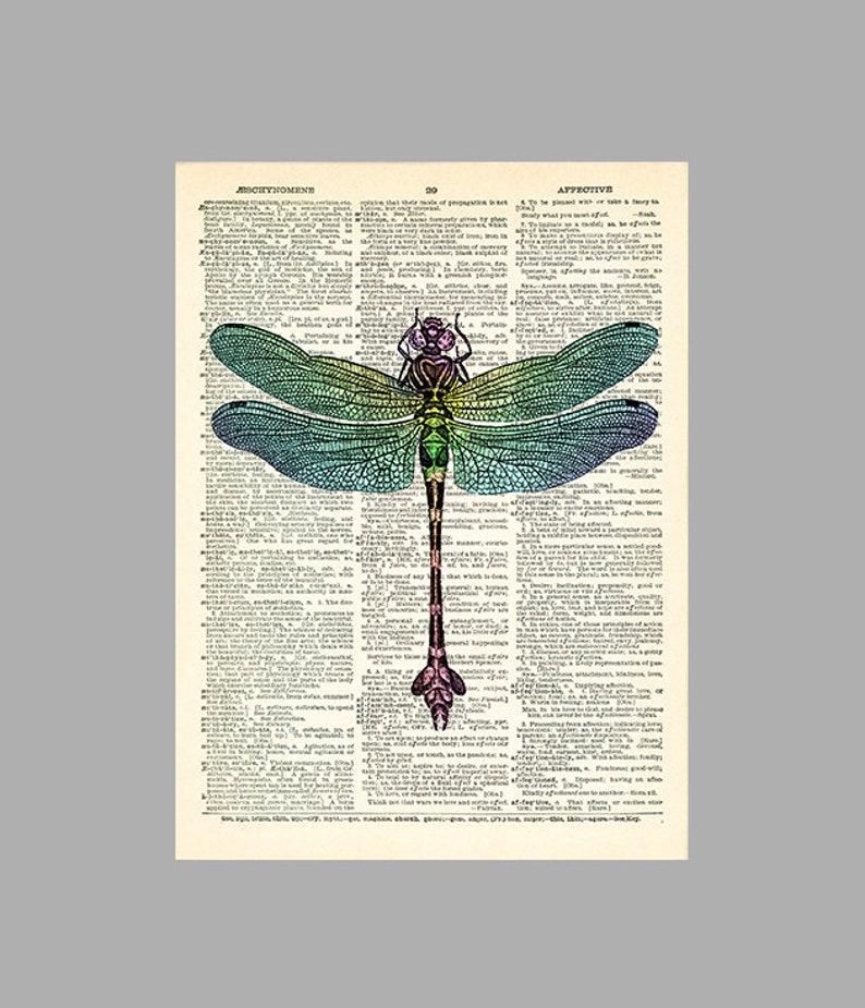 Dragonfly Art Print Rainbow Dragonfly Poster Insect - Etsy