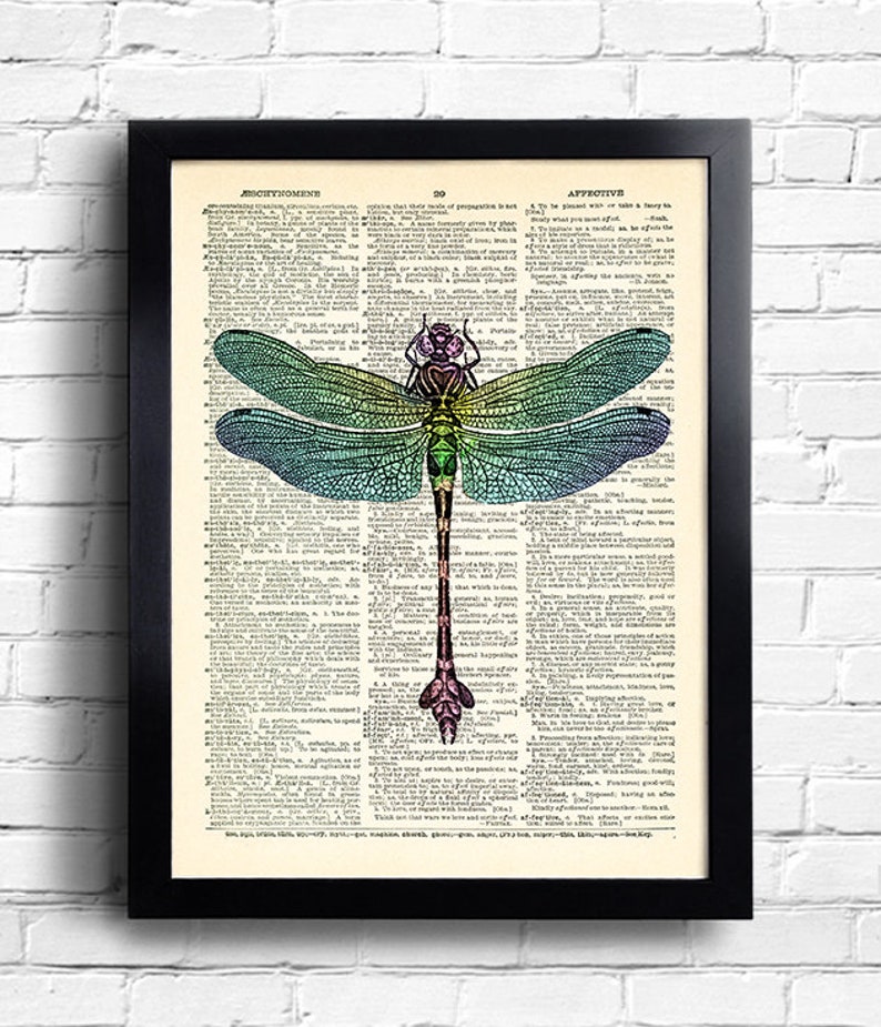Dragonfly Art Print Rainbow Dragonfly Poster Insect - Etsy