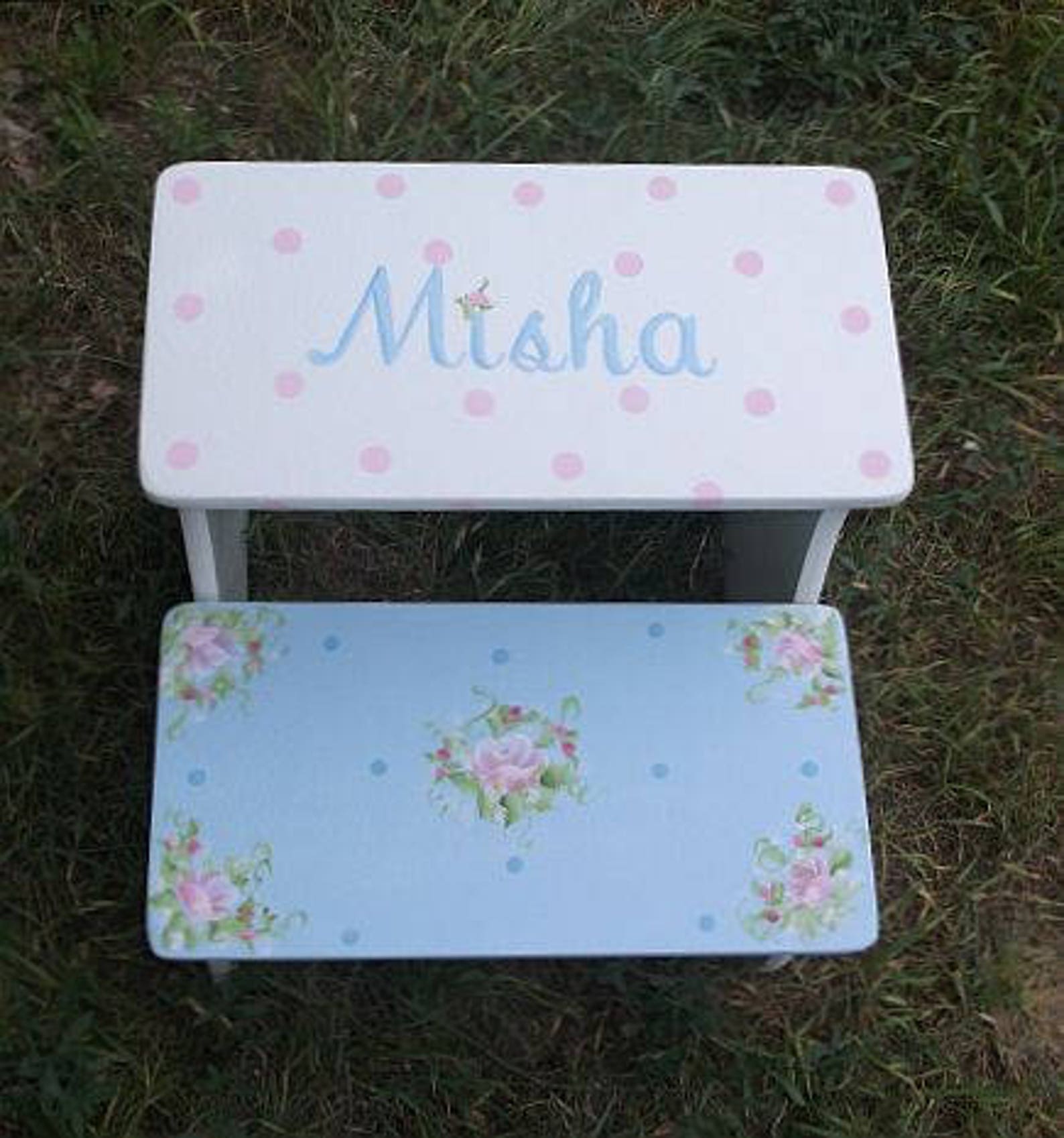 Girls Step Stool Toddlers Pink Sky Blue Roses Bench - Etsy