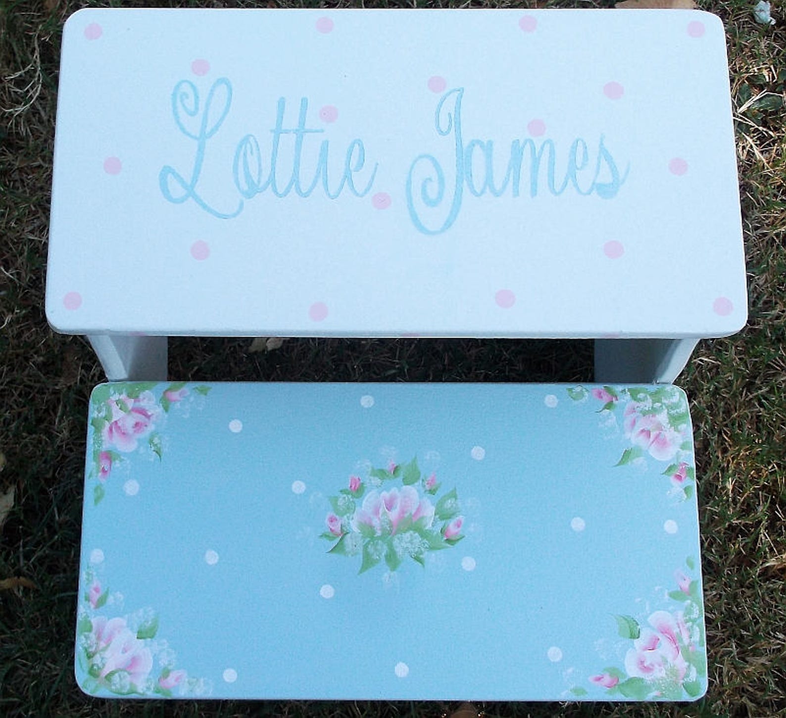 Girls Step Stool Toddlers Pink Sky Blue Roses Bench - Etsy