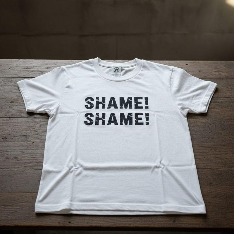 Shame Protest Shirt - Etsy