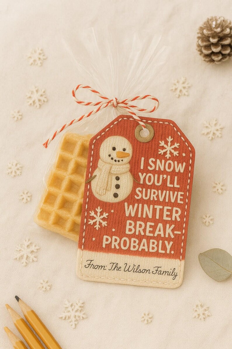 Winter Break Snowman Canva Template Printable Funny Holiday Classroom ...